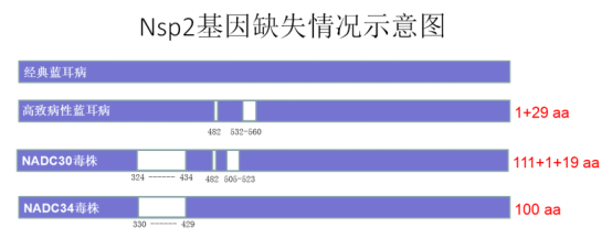 技术文章-易邦生物